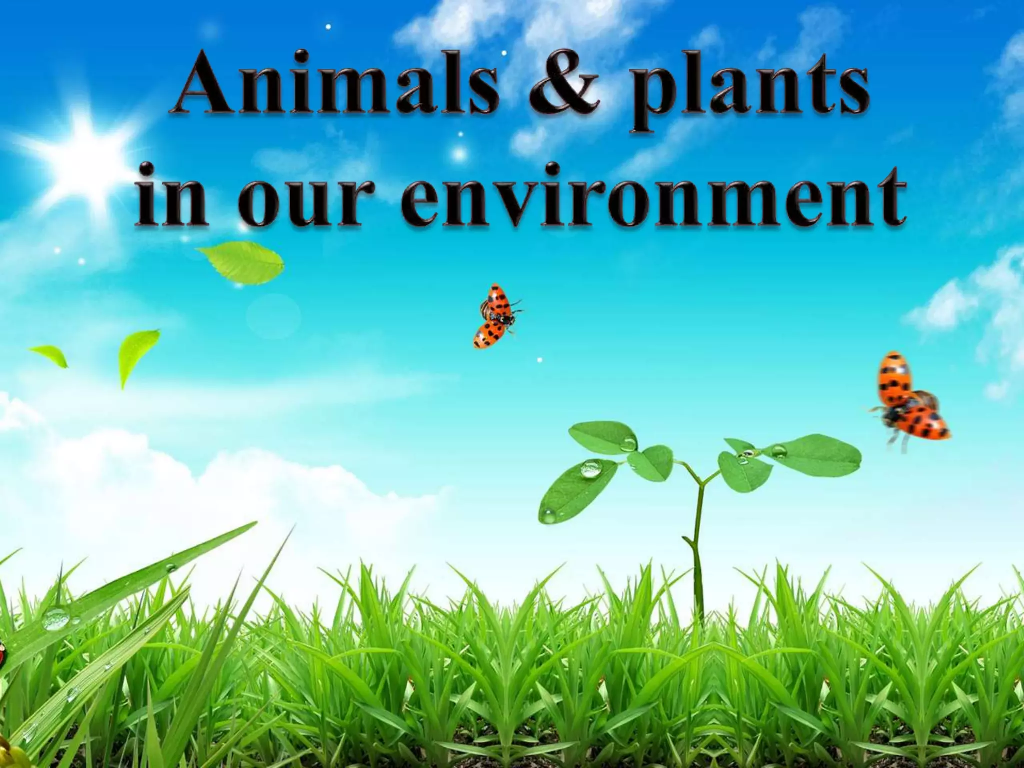 Ppt on animals and plants | PPTX