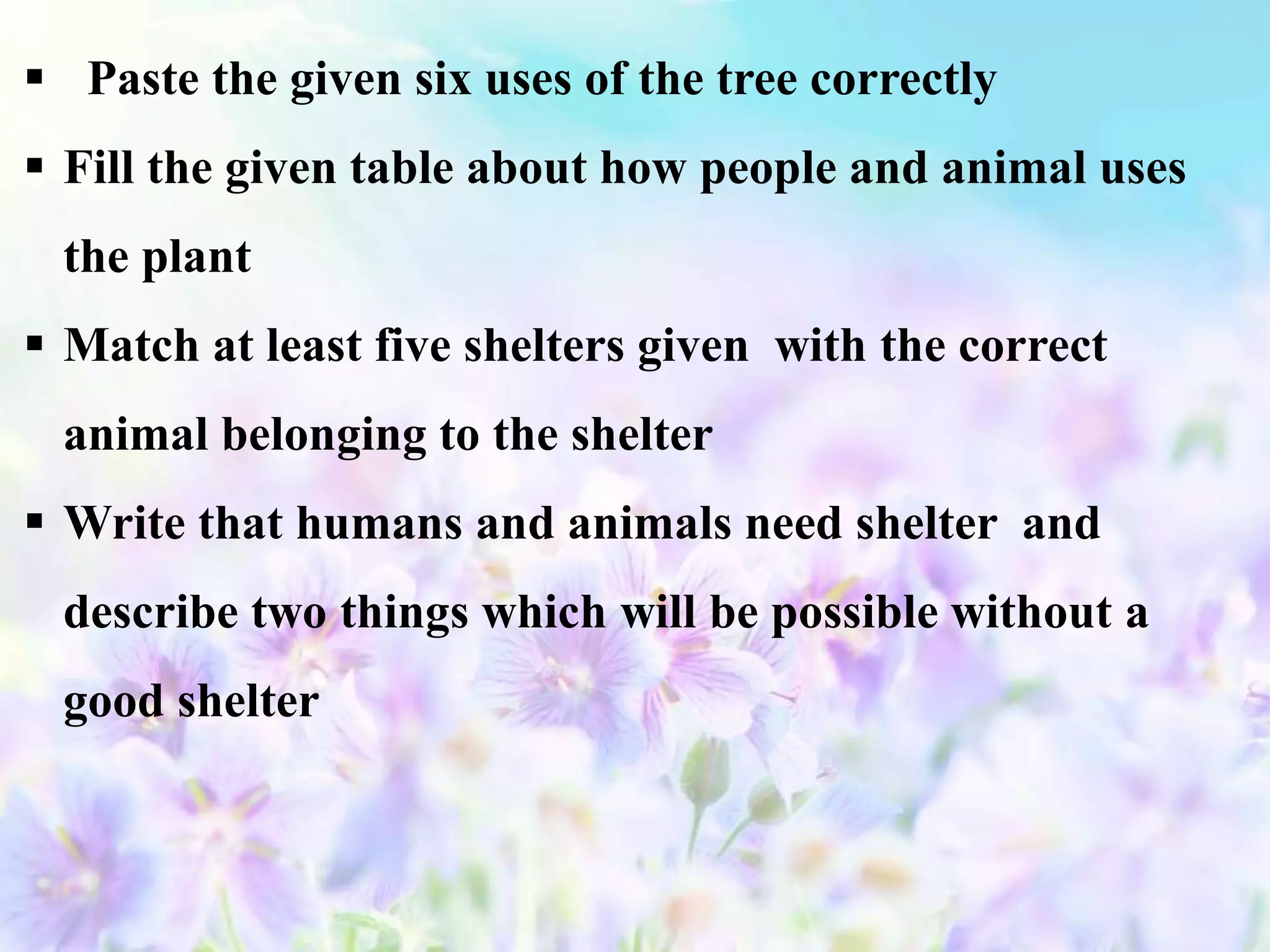Ppt on animals and plants | PPTX