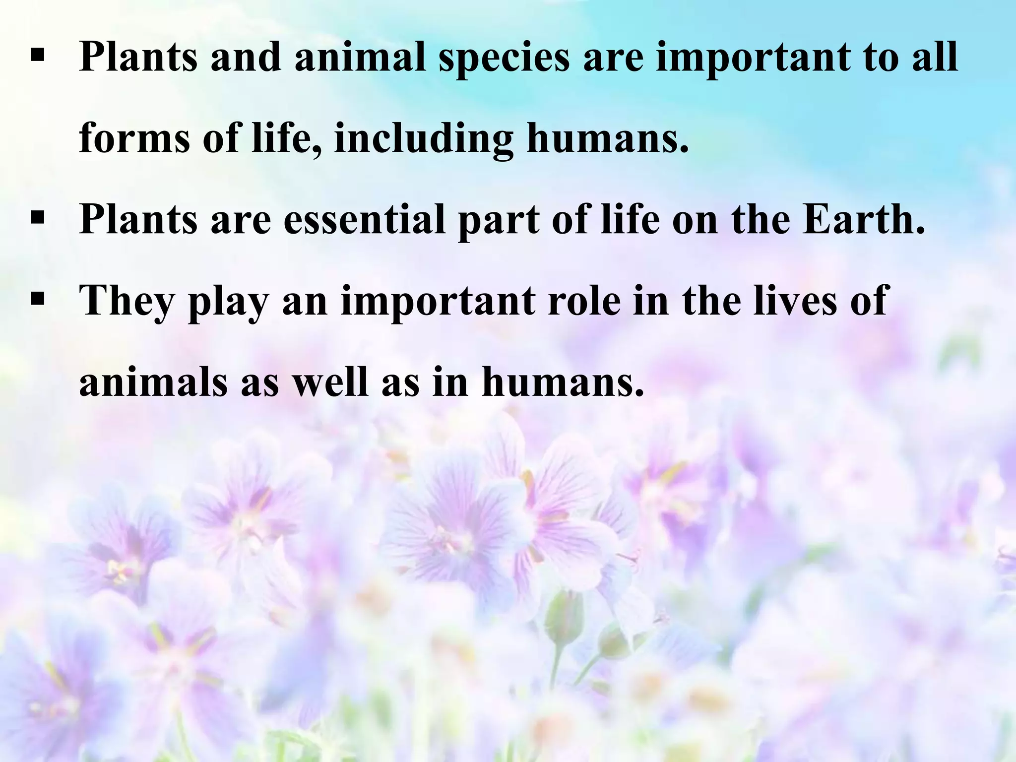 Ppt on animals and plants | PPTX
