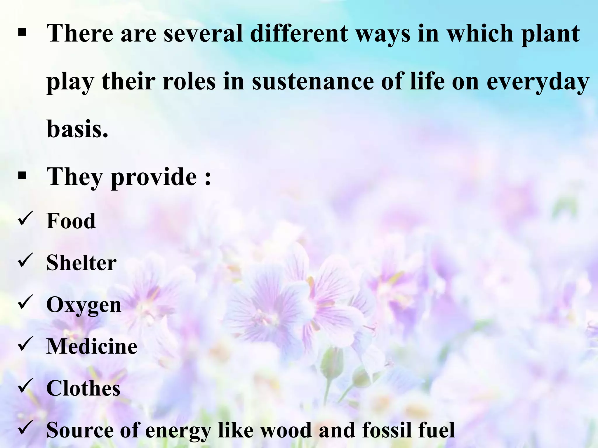 Ppt on animals and plants | PPTX