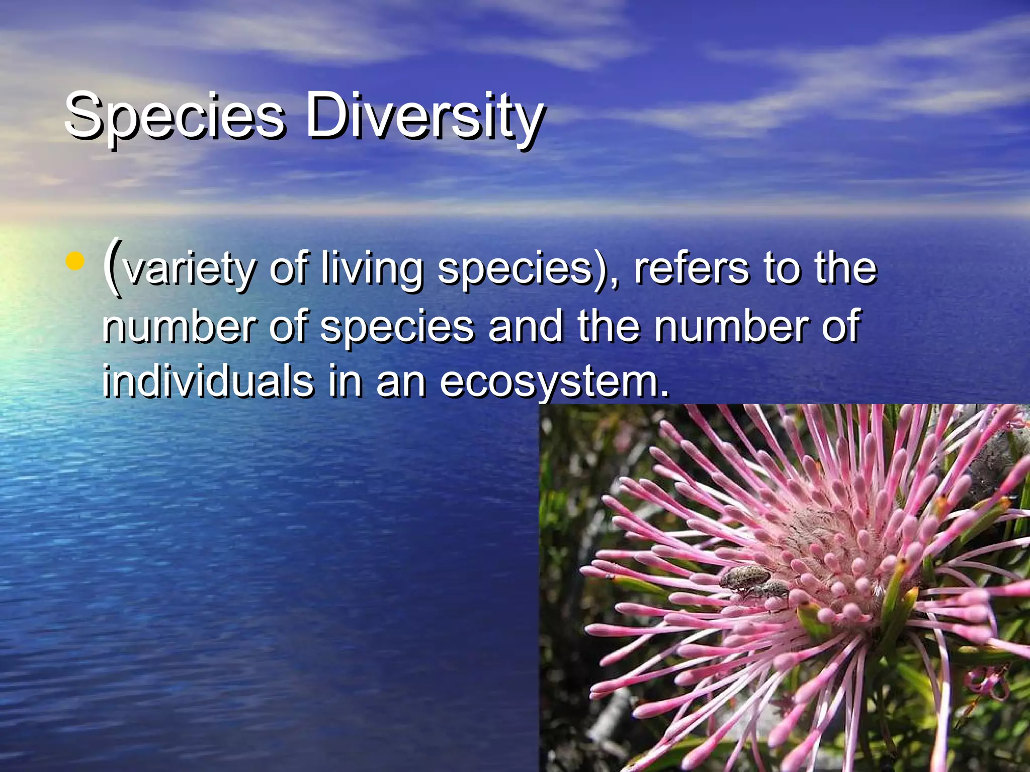 Ppt on biodiversity | PPT | Biological Sciences | Science