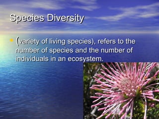 Ppt on biodiversity | PPT
