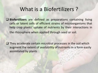 Ppt on biofertilizers | PPTX