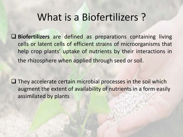 Ppt on biofertilizers | PPTX