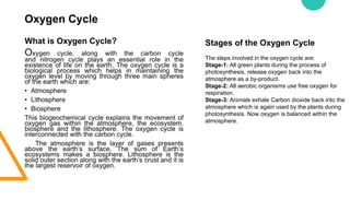 Ppt on Biogeochemical Cycle USacademy.in