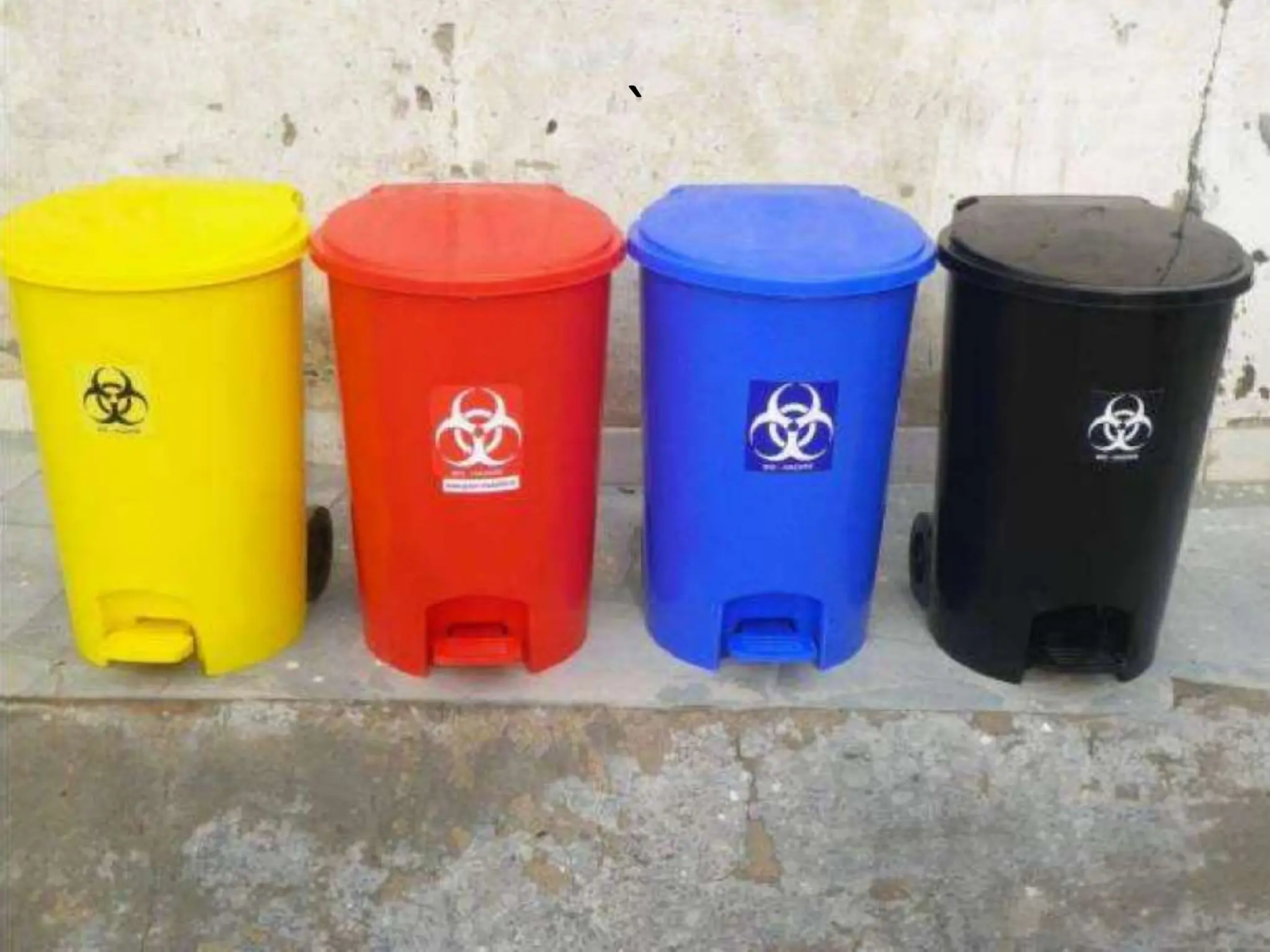 PPT on Biowaste.pptx