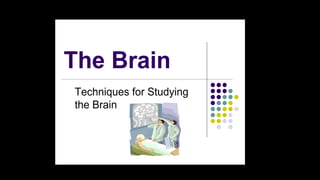 PPT ON BRAIN functions and its parts in detail | PPTX