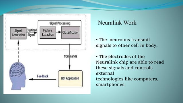 ppt on the brain chip neuralink.pptx | Brain and Nervous System ...
