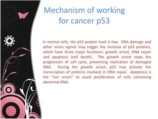 Ppt On Cancer P53 By Swati Seervi | PPSX