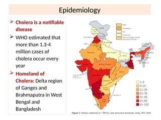 ppt on Cholera (Etiopathogenesis & diagnosis) | PPTX