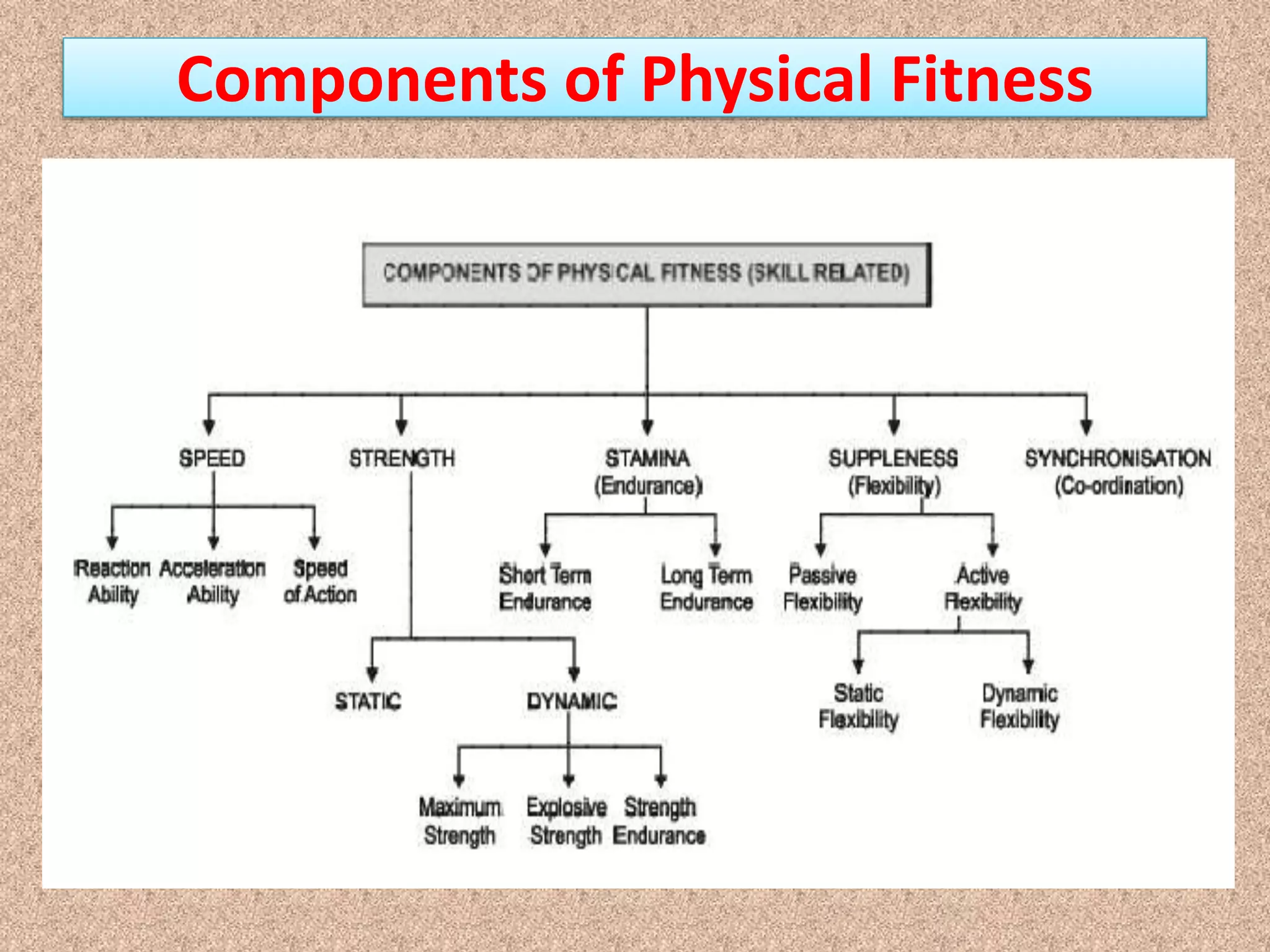 Physical Education PPT on Class XI chapter 3 Physical fitness ...