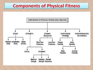 Physical Education PPT on Class XI chapter 3 Physical fitness ...