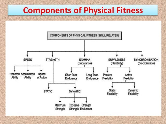 Physical Education PPT on Class XI chapter 3 Physical fitness & Wellness | PPTX | Fitness and ...