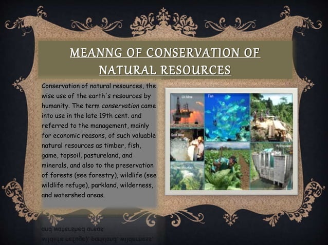 CONSERVATION OF NATURAL RESOURCES - PPT | PPTX