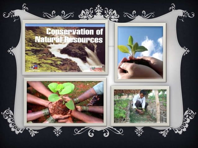 CONSERVATION OF NATURAL RESOURCES - PPT | PPTX