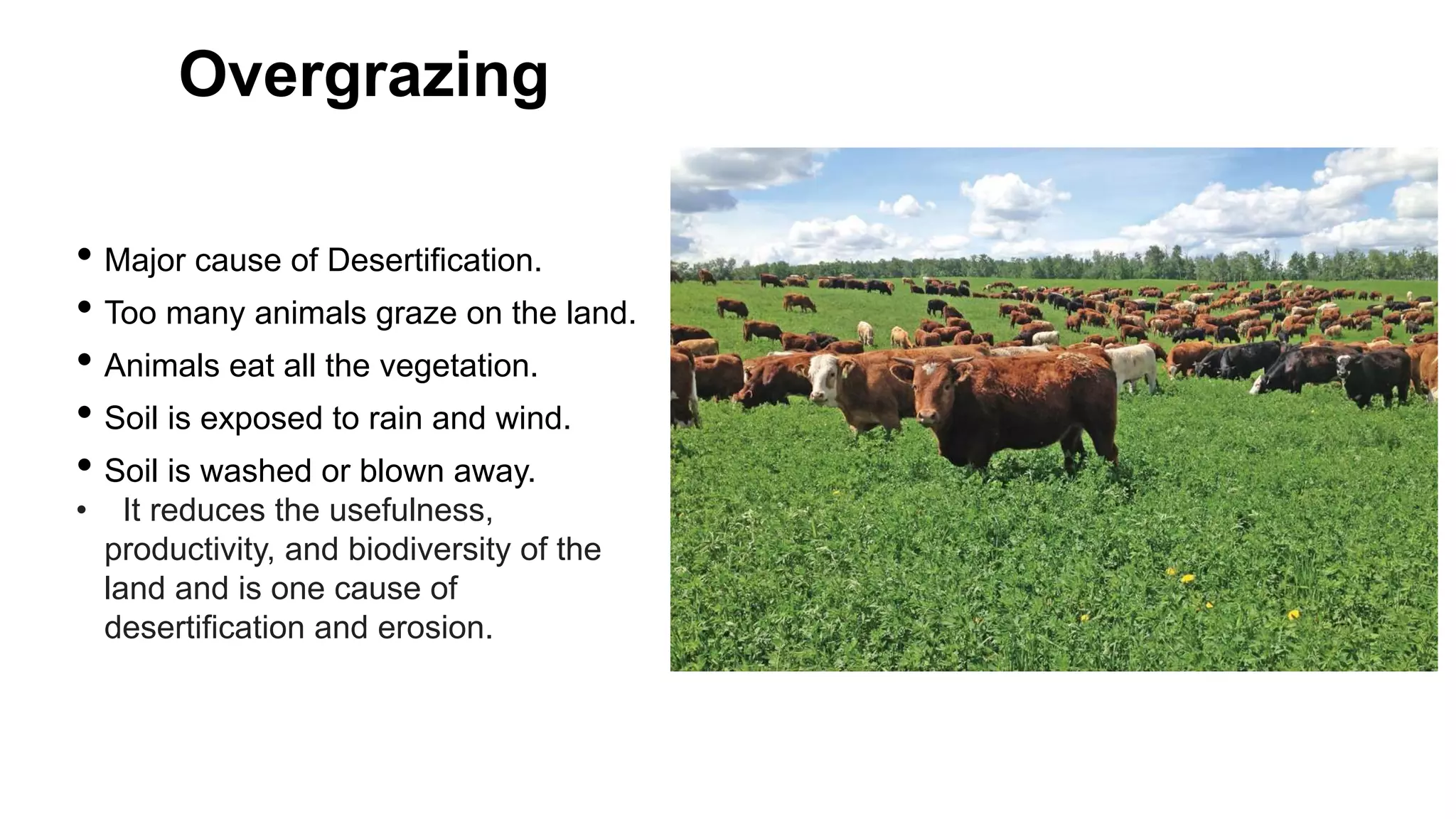 Ppt on desertification | PPT