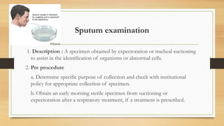 Ppt on diagnostic in respiratory mahi | PPTX