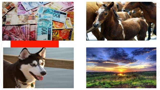 Ppt On different subjects like, ms office , seasons, etc..pptx