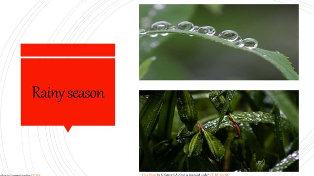 Ppt On different subjects like, ms office , seasons, etc..pptx