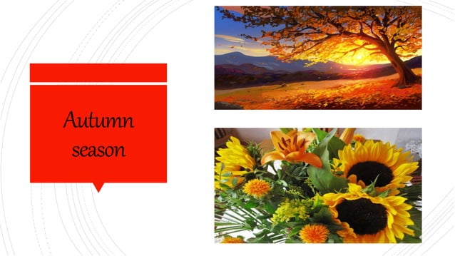 Ppt On different subjects like, ms office , seasons, etc..pptx