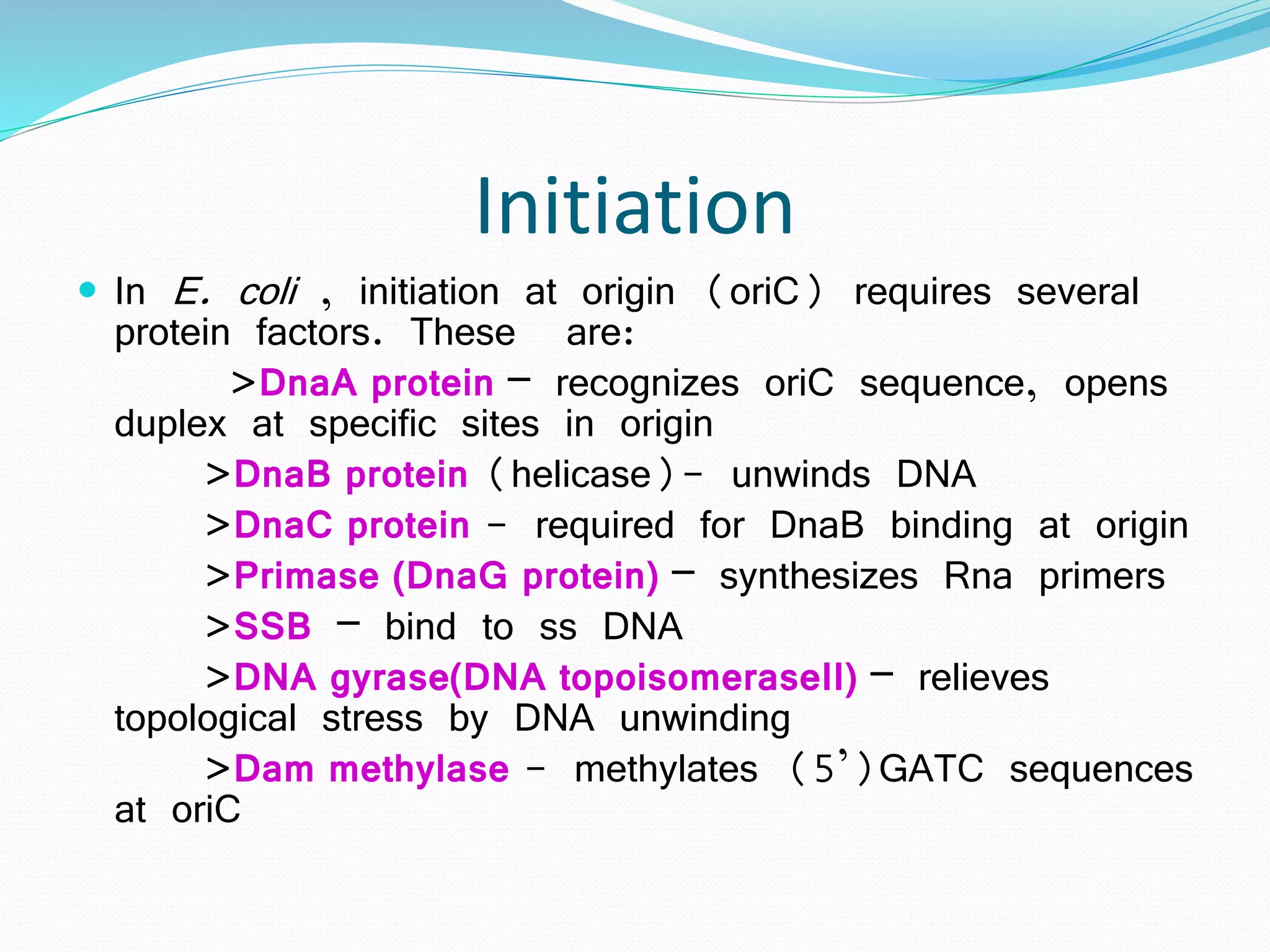 Prokaryotic Dna Replication Pptx