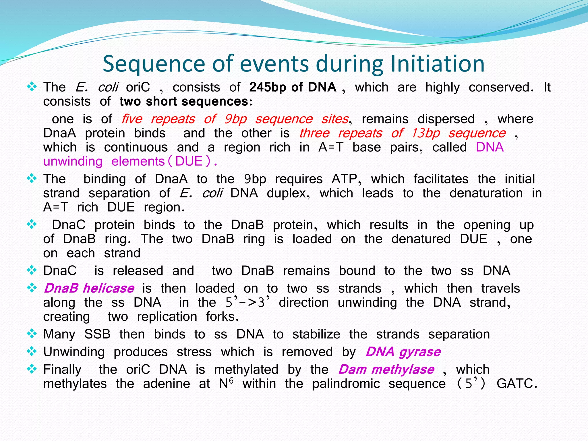 Prokaryotic Dna Replication Pptx