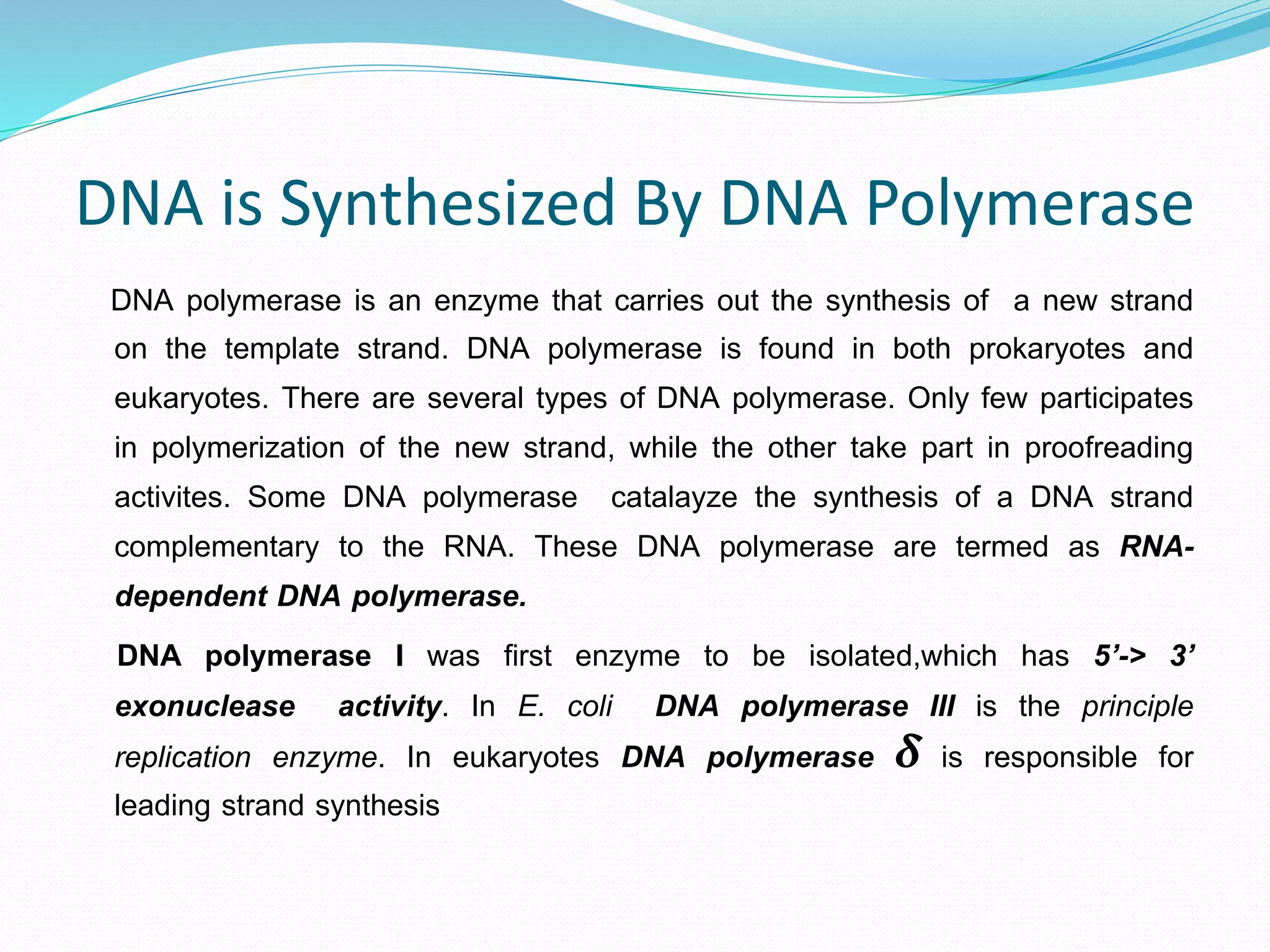 Prokaryotic Dna Replication Pptx
