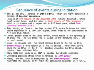 Prokaryotic DNA replication | PPTX