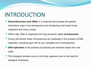 Prokaryotic DNA replication | PPTX