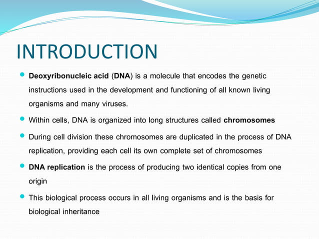 Prokaryotic DNA replication | PPTX