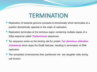 Prokaryotic DNA replication | PPTX