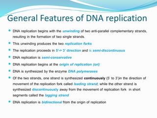 Prokaryotic DNA replication | PPTX