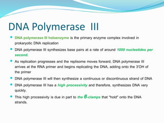 Prokaryotic DNA replication | PPTX