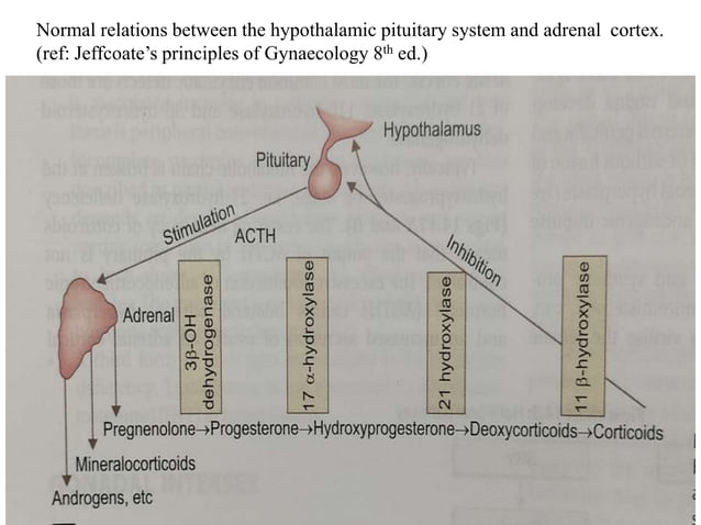 Disorders of Sex development( DSD, defination, classification, CAH, AIS ...