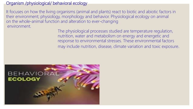 ecology concepts and its types | PPTX | Environment | Science