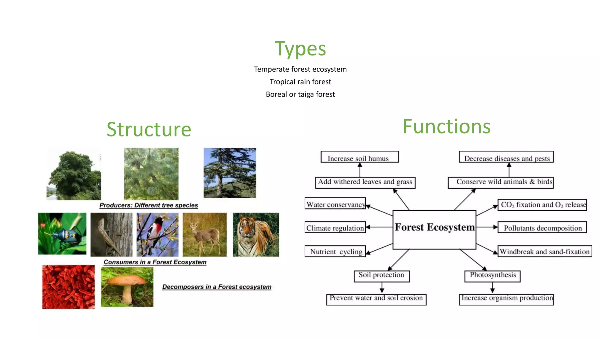 Ppt on ecosystem | PPTX