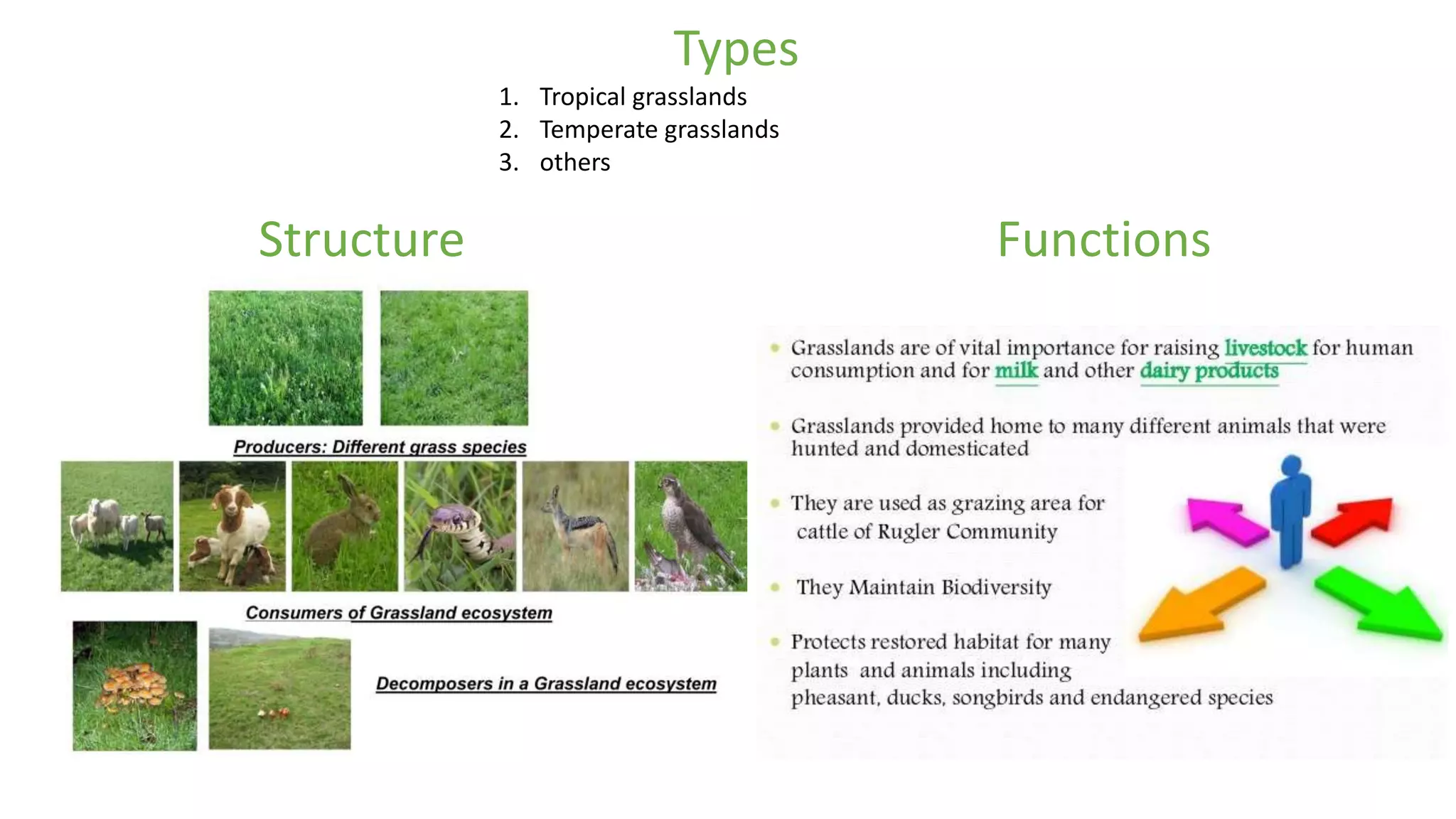 Ppt on ecosystem | PPTX