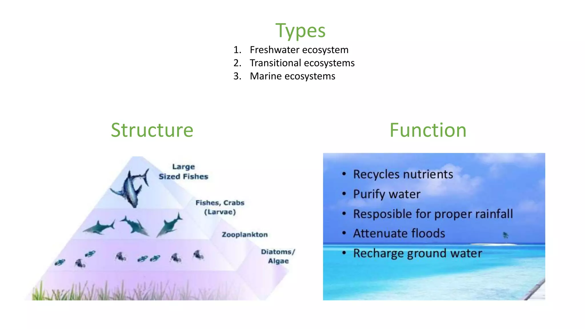 Ppt on ecosystem | PPTX