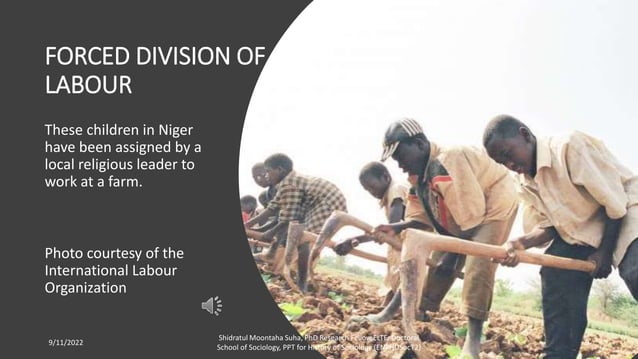 Emile Durkheim's Division of Labour in Society.pptx | Science