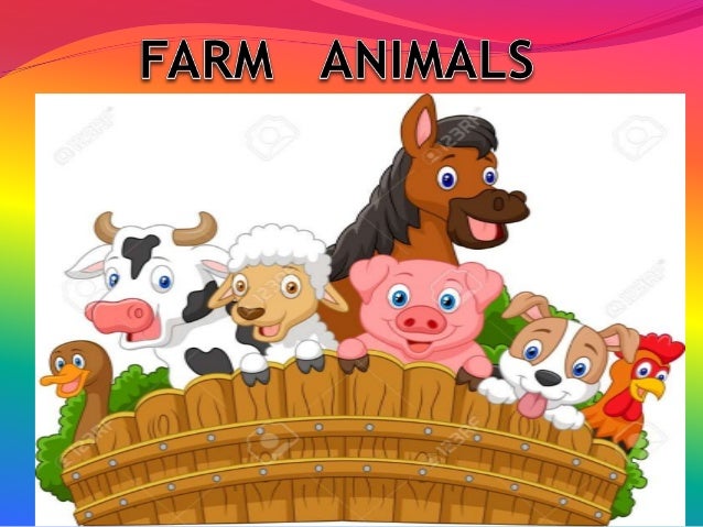 ppt-on-farm-animals-copy