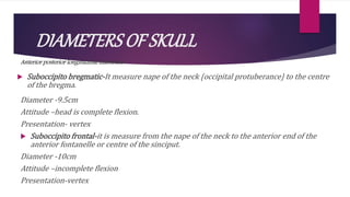 fetal skull | PPTX