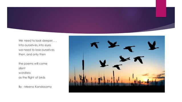 Analysis of the poem flight of birds.pdf