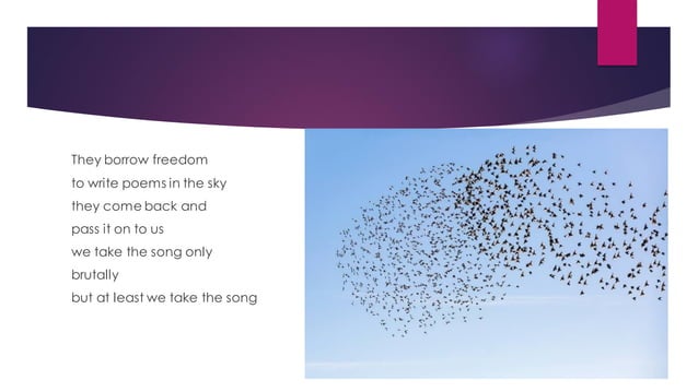 Analysis of the poem flight of birds.pdf | Free Download