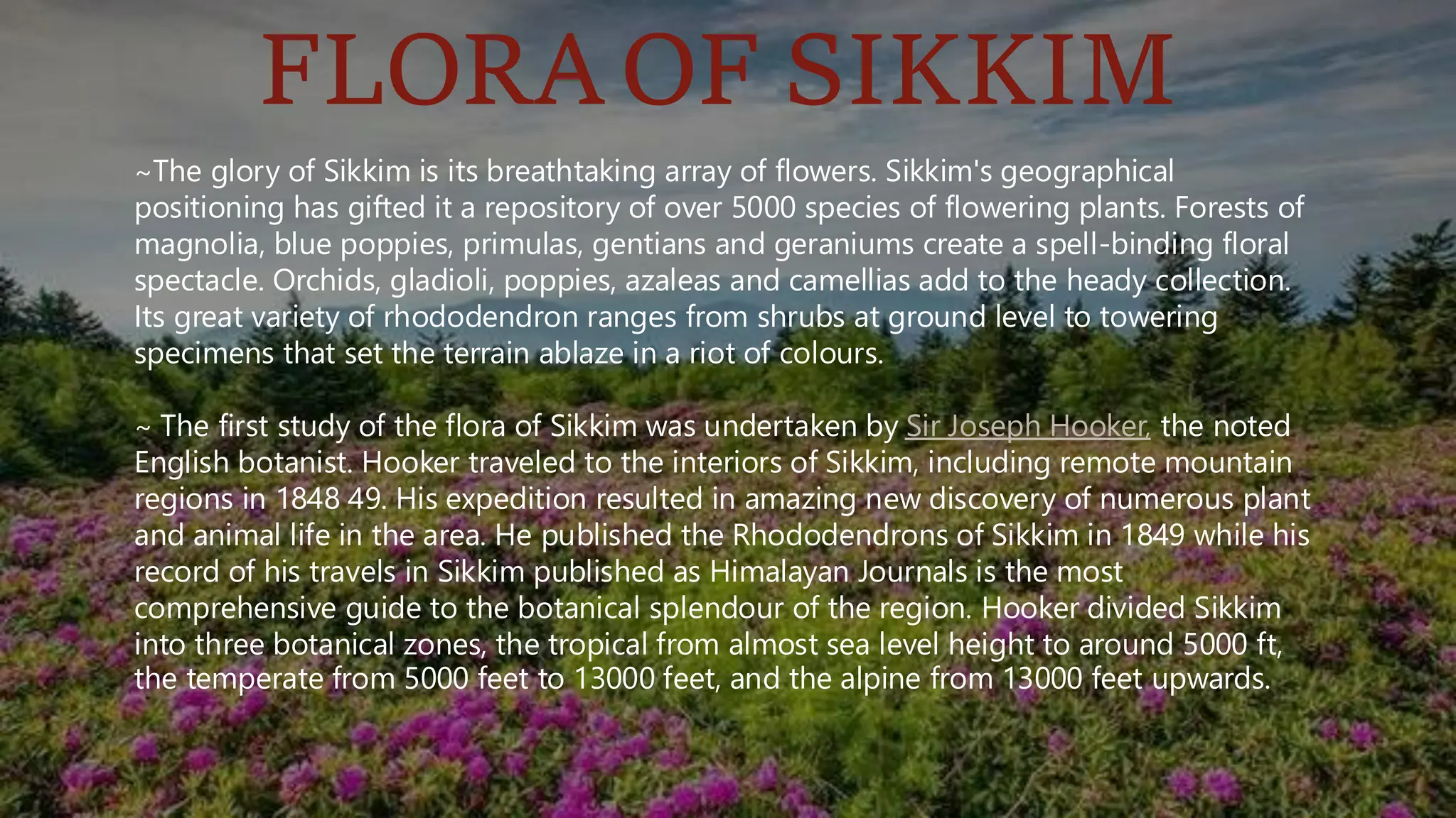 Ppt on flora and fauna of sikkim class X | PDF