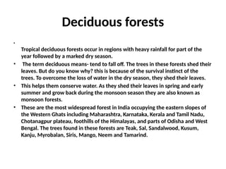 Ppt on FOREST and its different Type.pptx
