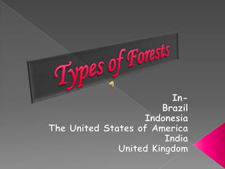 Ppt on forests | PPTX