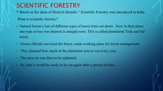 PPT on forest society and colonialism full lesson | PPTX