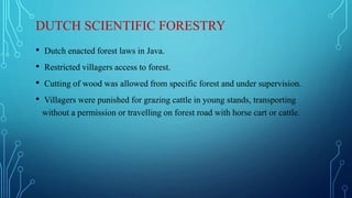 PPT on forest society and colonialism full lesson | PPTX