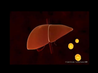 PPT on Gene therapy.ppt fbbb hfffvbn ghjn | PPT