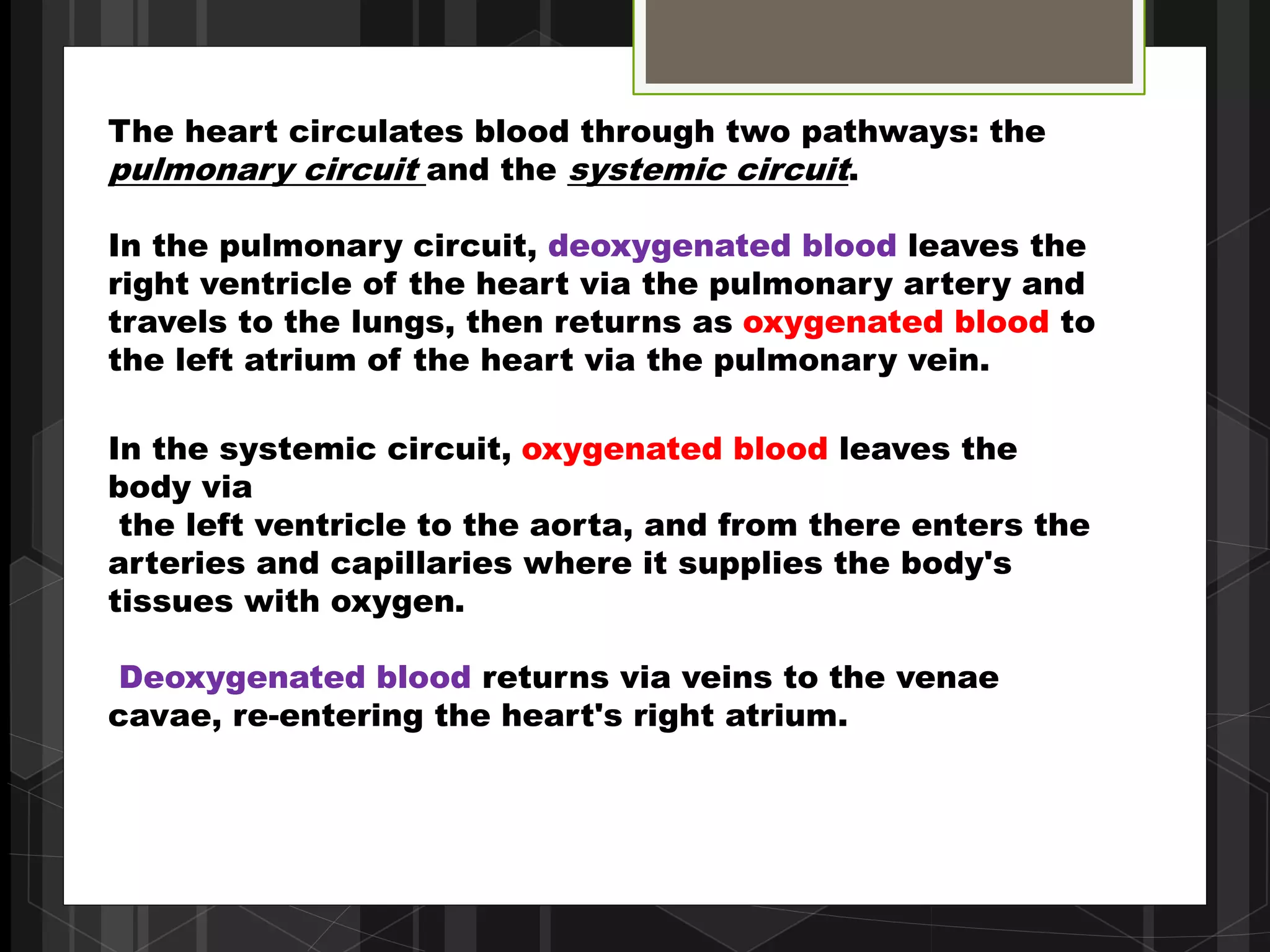 ppt on heart | PPTX